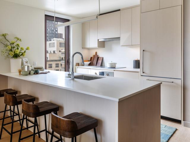 300 E 50TH Street 19L