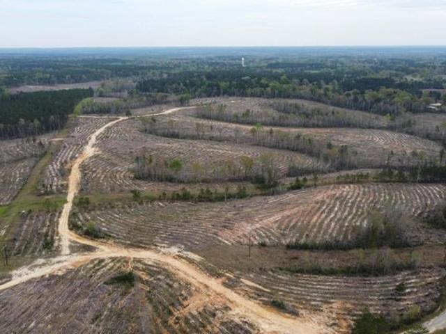 300 Eastabuchie Rd, Petal, MS 39465