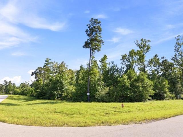 300 Iron Horse Rd, Willis, TX 77378