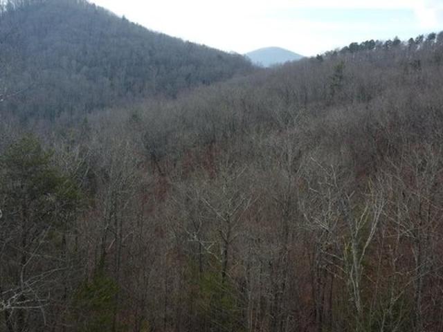 300 Jernigan Ct Lot 48, Murphy, NC 28906