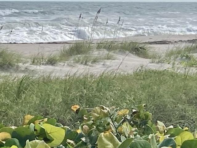 300 Monroe Ave Apt 21, Cape Canaveral, FL 32920