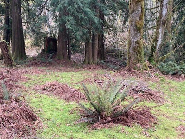 300 N Goldeneye Dr, Hoodsport, WA 98548 | MLS #2506 | Compass