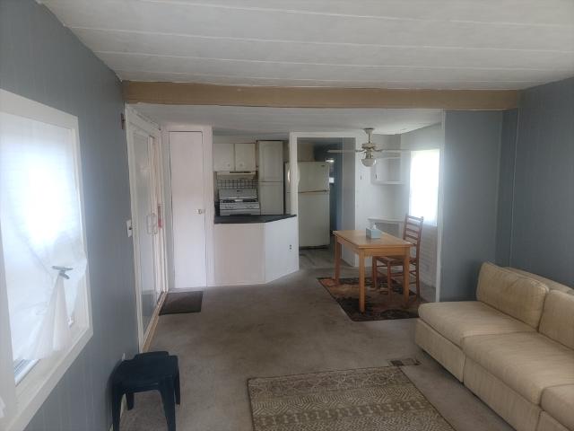 300 Nathan Ellis Hwy # 19