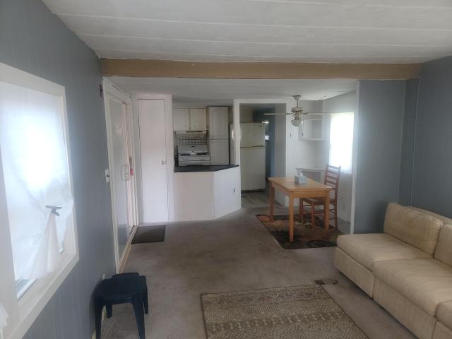 300 Nathan Ellis Highway 19