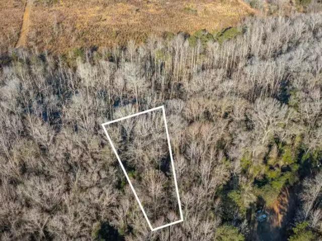 300 Sunny Acres Dr, Eastover, SC 29044 MLS 600386