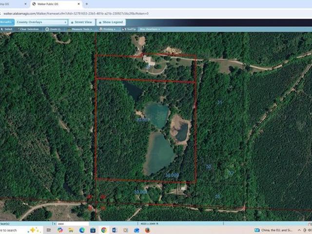 300 Pennington Cir, Nauvoo, AL 35578