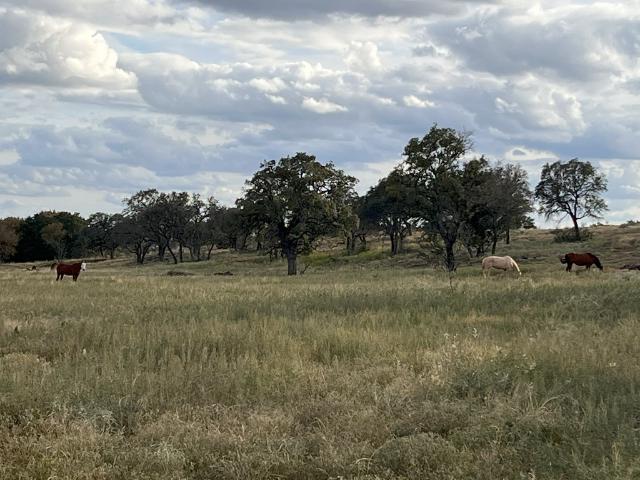 300 Private Road 626, Brady, TX 76825 | MLS #98143