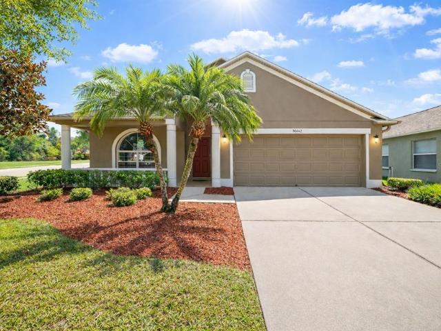30142 Sotogrande Loop, Wesley Chapel, FL 33543 | MLS #TB8491 | Compass