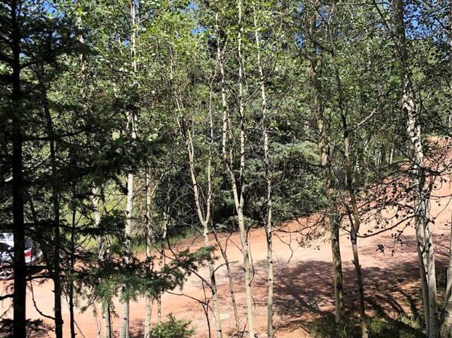 3015 N Mountain Estates Road