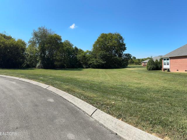 3017 Yearling Lane
