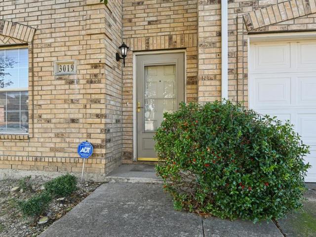 3019 Appaloosa Drive