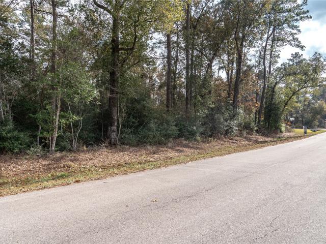 3010 Parthenon Pl, New Caney, TX 77357 | MLS #97726