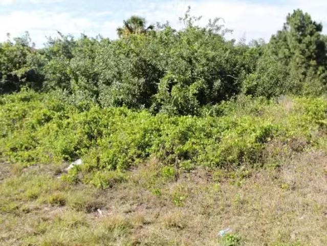 3010 49th St SW, Lehigh Acres, FL 33976 MLS 224025879