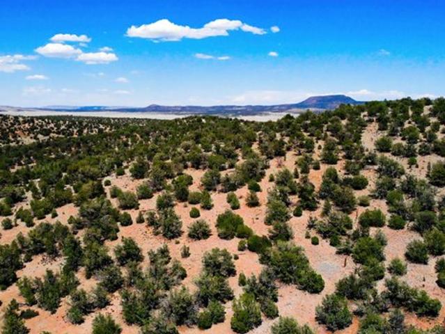 30117 L Unnamed Rd, Seligman, AZ 86337