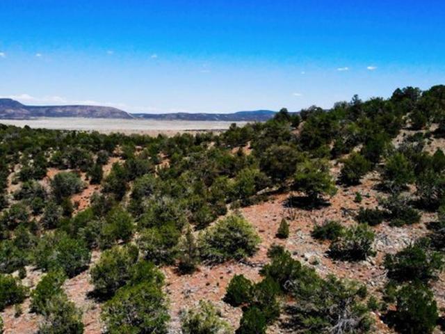 30117 P Unnamed Rd, Seligman, AZ 86337