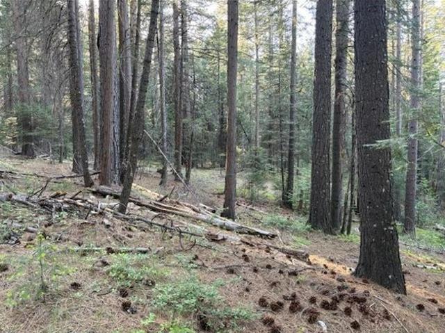 30115 N Bloomfield Graniteville Rd, Nevada City, CA 95959