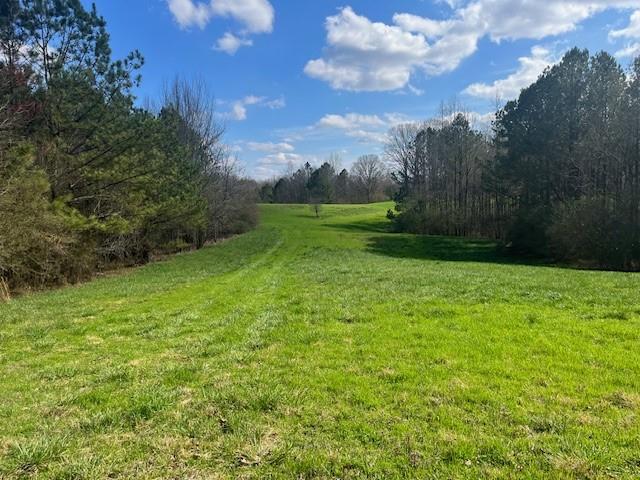 3011 Mark Foster Rd, Talking Rock, GA 30175 | MLS #7762