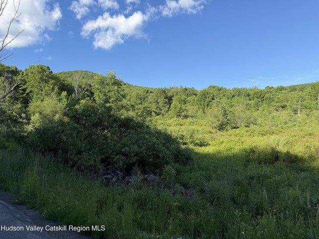 3012 Red Kill Rd, Fleischmanns, NY 12430