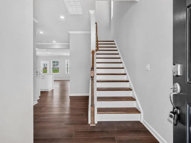 3013 Bay Foal Lane