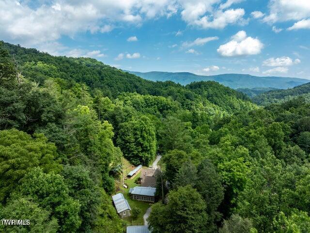 301 Cabin Orchard Road