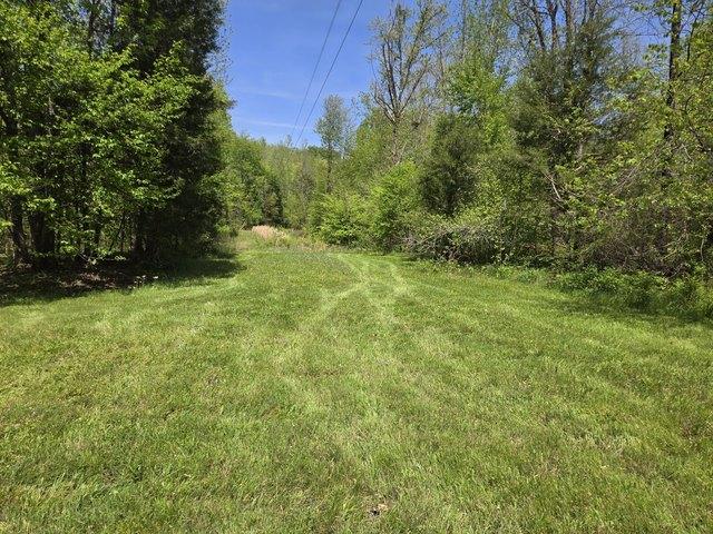 301 Bobcat Rd, Linden, TN 37096