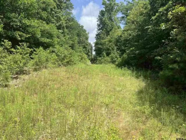 301 BLUEBONNET, AVINGER, TX 75630 Vacant Land For Sale MLS# 2.