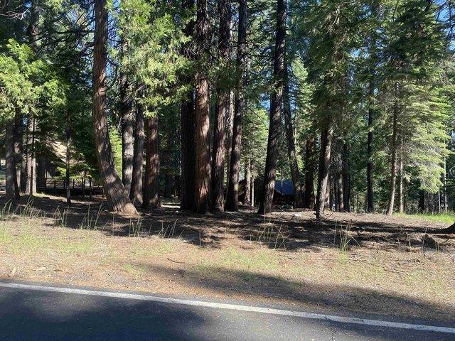 301 Black Oak Dr, Chester, CA 96020