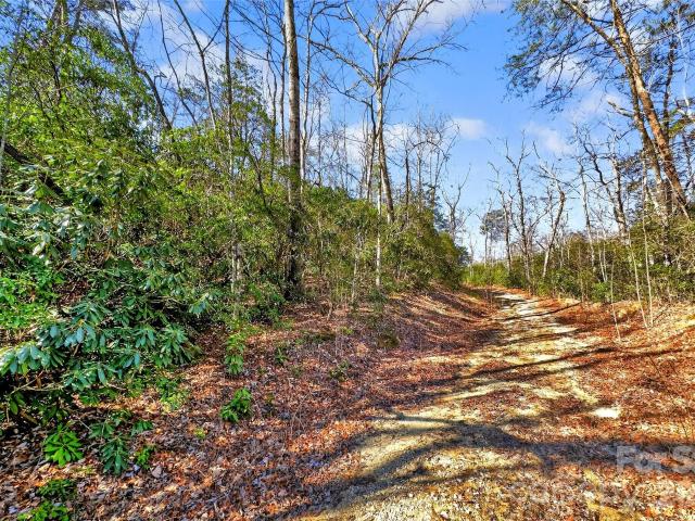 301 Black Pine Drive