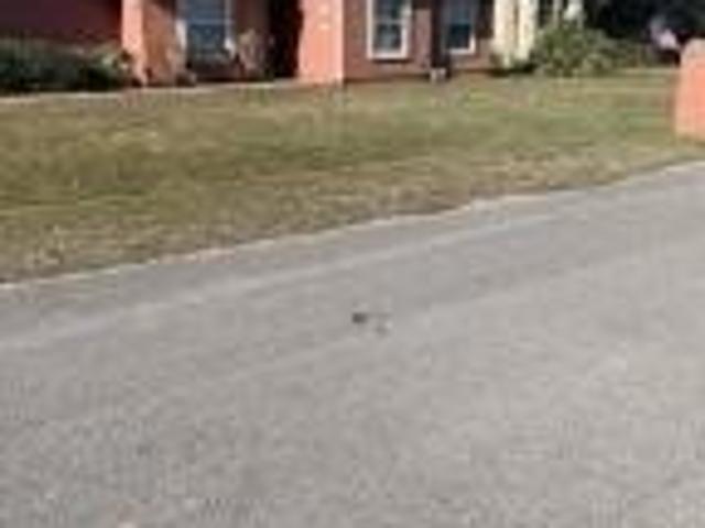 301 Brynn Ct, Panama City Beach, FL 32408