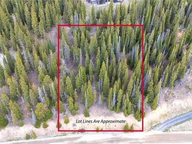 301 Kimmes Ln Lot 46, Breckenridge, CO 80424