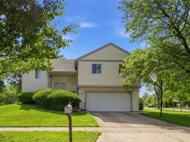 301 Horatio Blvd, Buffalo Grove, IL 60089