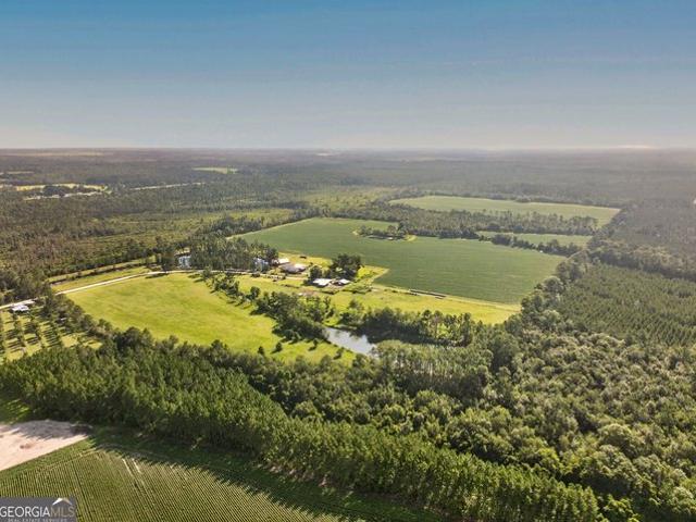 301 Jerry Sutton Rd, Alapaha, GA 31622