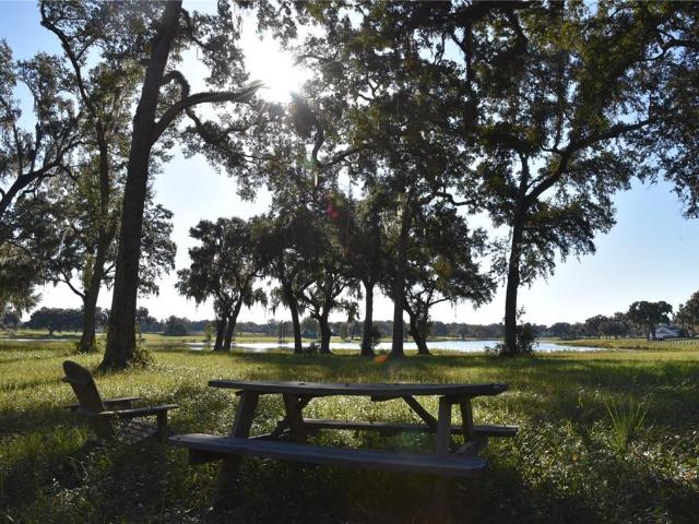 301 Off Hwy, Summerfield, FL 34491 | MLS #OM713548 | Compass