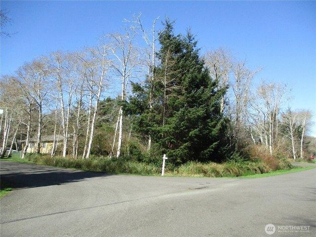 301 Olympic View Ave NE Lot 17, Ocean Shores, WA 98569