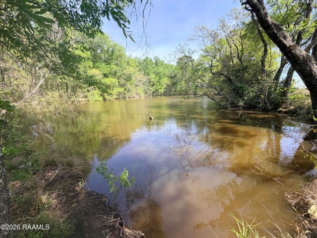 301 Lavan, Elton, LA 70532 | MLS #RA2500006