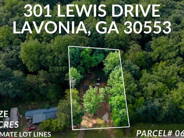 301 Lewis Dr, Lavonia, GA 30553