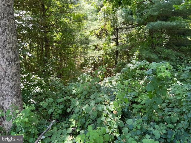 301 Northeast Rd, Aberdeen, MD 21001 | MLS #MDHR2030