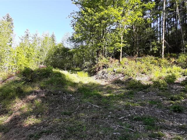 301 NE W J Way, Belfair, WA 98528 | MLS #2234 | Compass