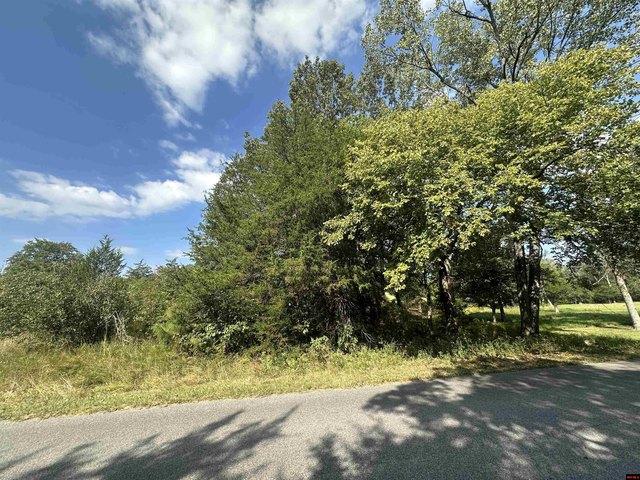 301 S Sequoia Dr, Horseshoe Bend, AR 72512