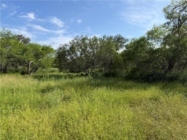 301 Paisano Dr