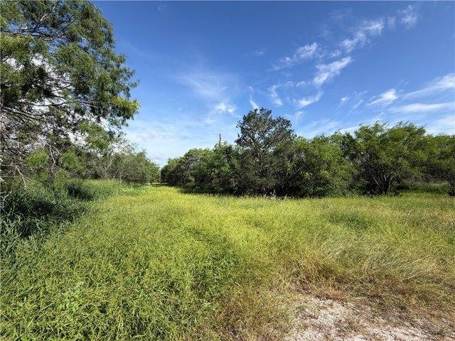 301 Paisano Dr, George West, TX 78022