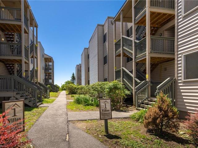 301 Pinnacle Inn Road #1110