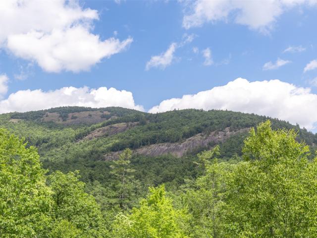 301 Ruffed Grouse Road