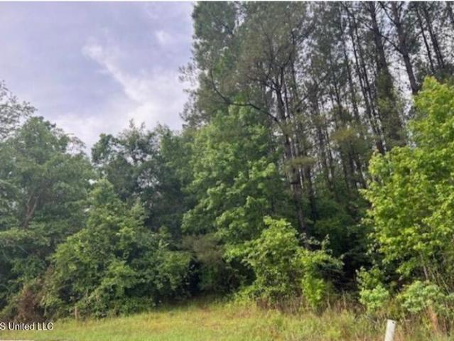 301 Woods Rd, McLain, MS 39456 | MLS #4136