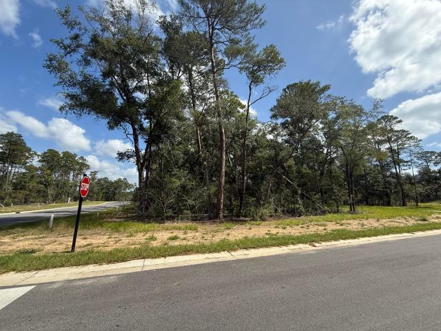 301 Yarrow Ln, Niceville, FL 32578 | MLS #986680