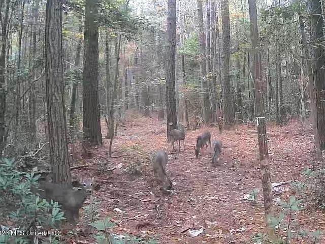 301c1, Brooklyn, MS 39425