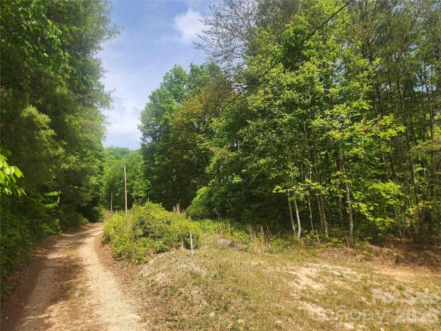 3024 Pearson Mountain Rd, Boomer, NC 28606 | MLS #4375