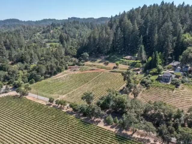 3025 W Dry Creek Rd, Healdsburg, CA 95448 MLS 325025346
