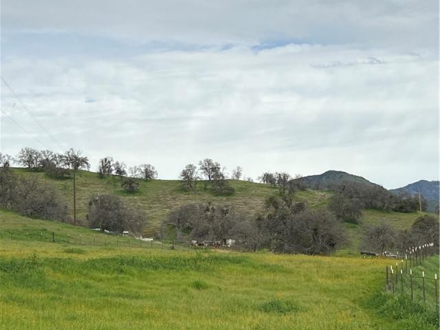 30284 Bear Mountain