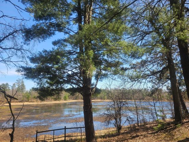 30284 N Nicaboyne Lake Road